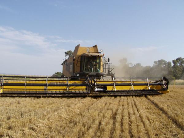 Resisting work in harvest time | libcom.org